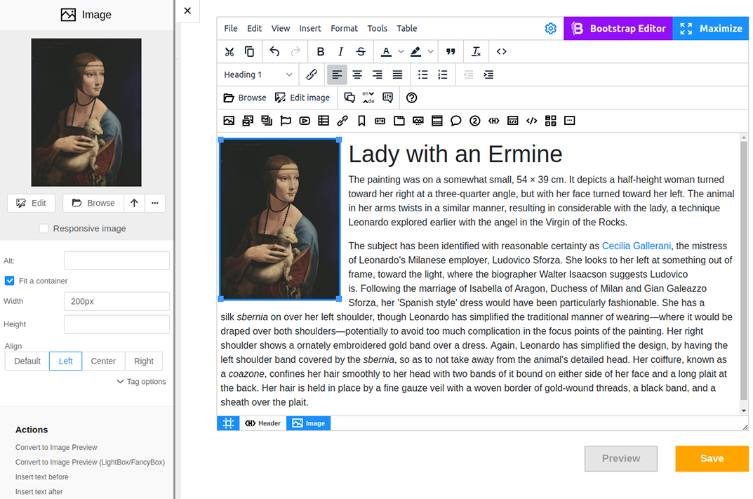 Add ons Catalog For TinyMCE CKEditor And Froala